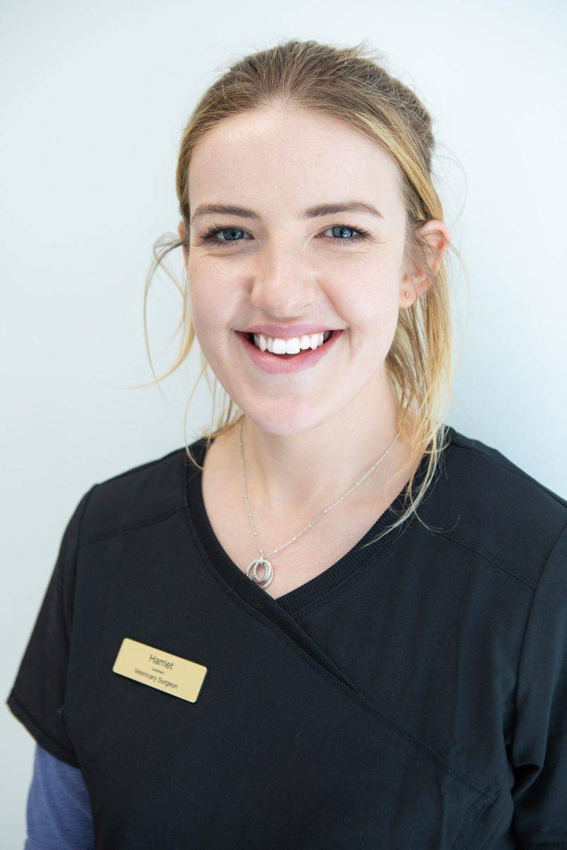 Meet The Team | Rackheath Vets | Norfolk