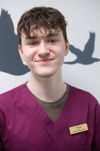 Meet The Team | Rackheath Vets | Norfolk