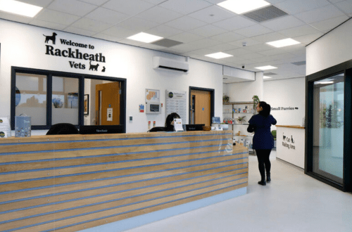 Facilities | Rackheath Vets | Norfolk