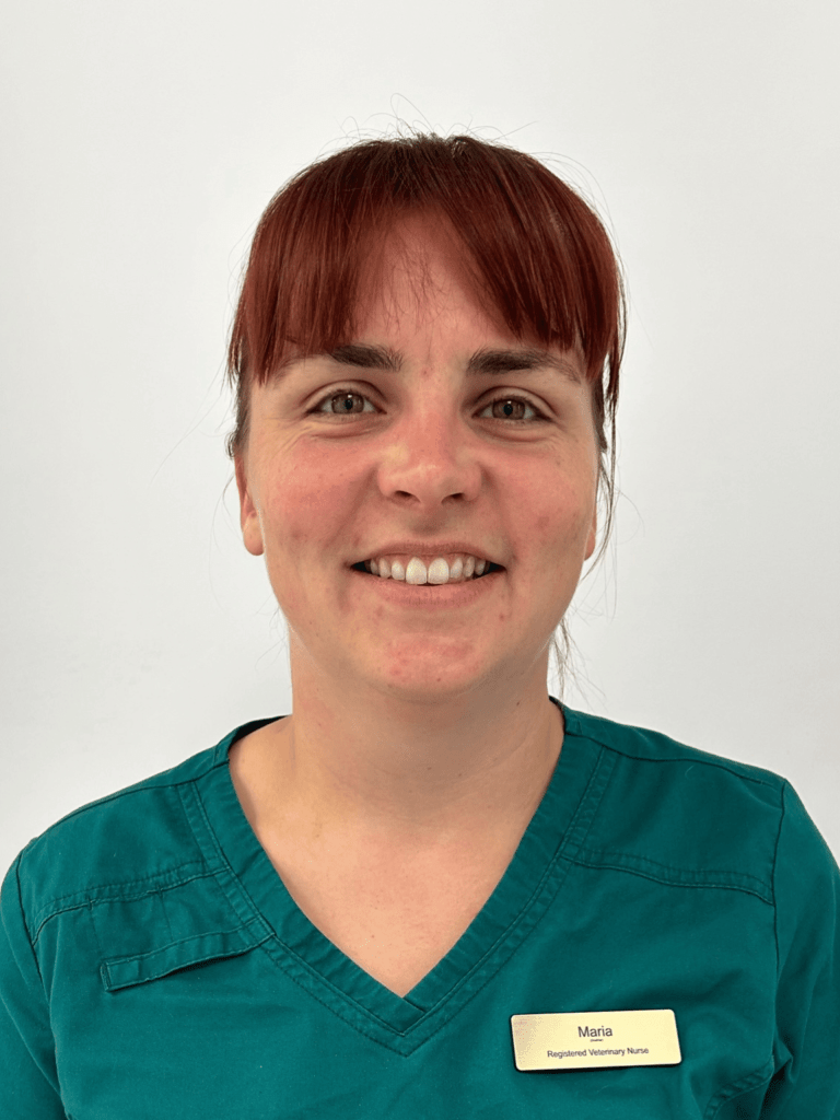 Meet The Team | Rackheath Vets | Norfolk